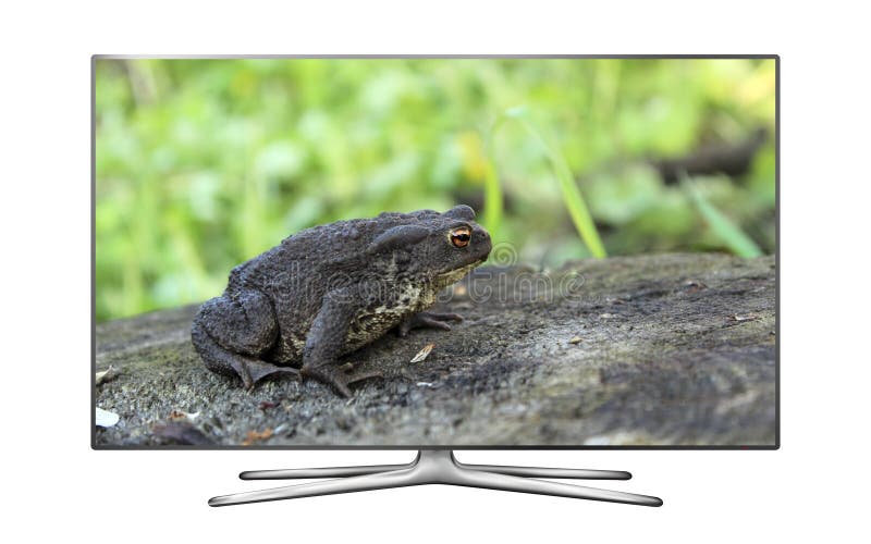 Smart Tv with Frog on Screen Wallpaper Stock Image - Image of animal ...
