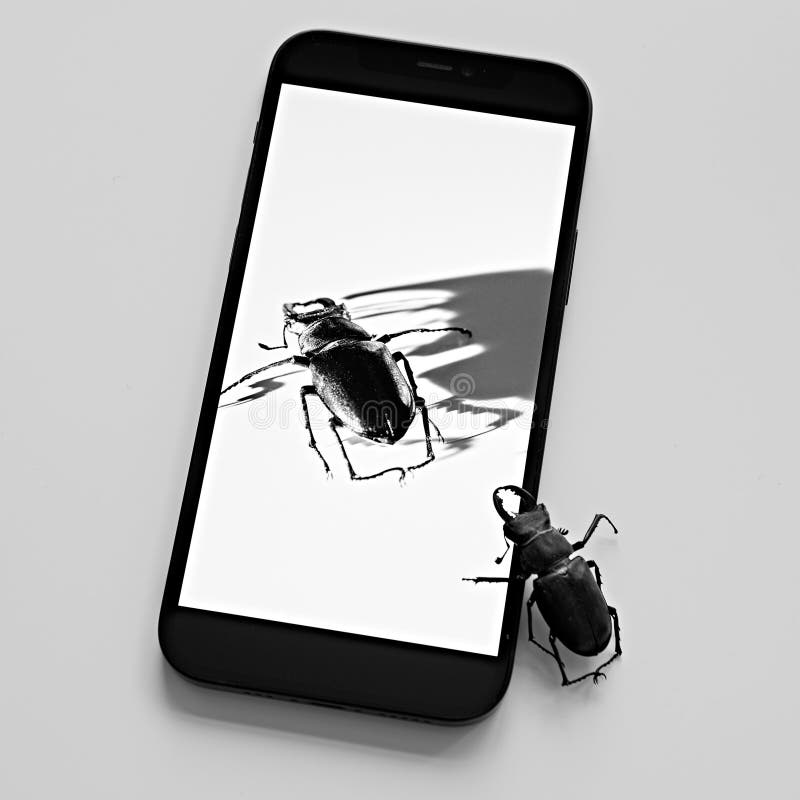 Smartphone with a Bug on the Screen and a Real Spider Crawling on the ...