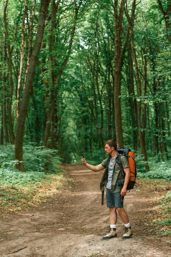 Tourist in Summer Forest. Conception of Exploration and Leisure Stock ...