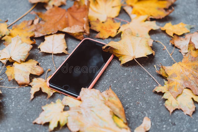The Smartphone Lying on the Ground in the Fall Stock Image - Image of ...