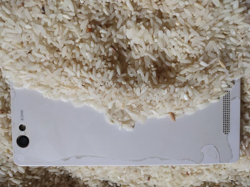 Wet Smartphone in Rice stock photo. Image of design - 185296092