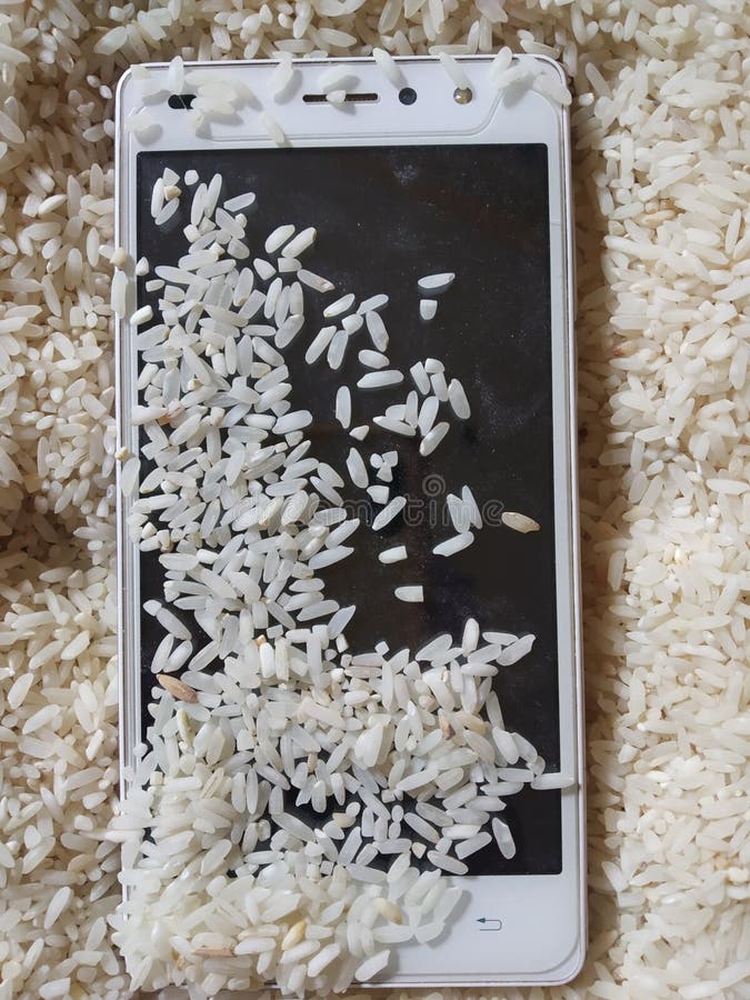 Smartphone in the Rice editorial photography. Image of rice - 185296207
