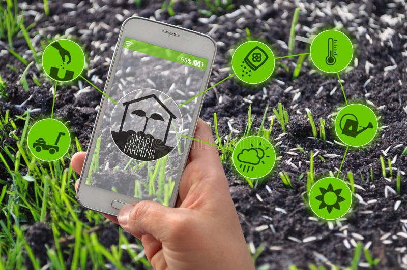 Smartphone with Smart Gardening and Smart Farming Apps with Grass Seeds ...