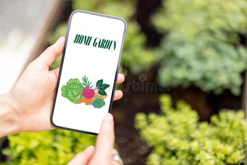 Smartphone with Vegetables Drawing on Screen Stock Photo - Image of ...