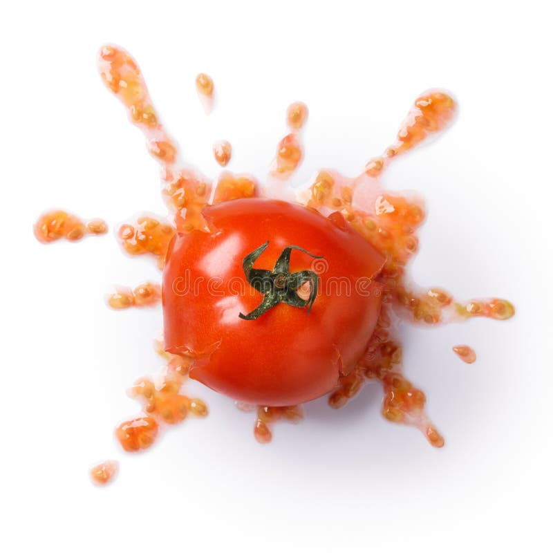 Splattered Tomato Illustration