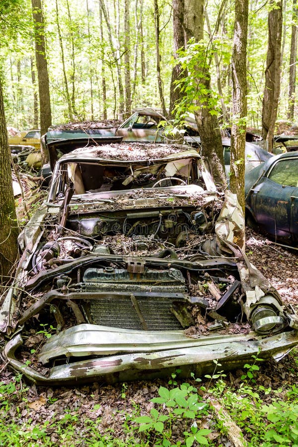 Smashed Car in Woods stock photo. Image of rust, forgotten - 64316182