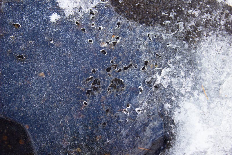 Smashed Ice on a Frozen Rainwater Puddle on a Forest Footpath Stock ...