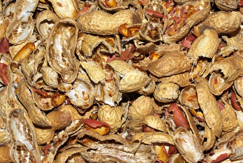 Smashed Peanut Shells Stock Photos - Free & Royalty-Free Stock Photos ...