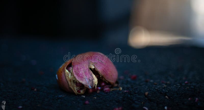 A smashed pomegranate stock photo. Image of broken, organic - 263928174
