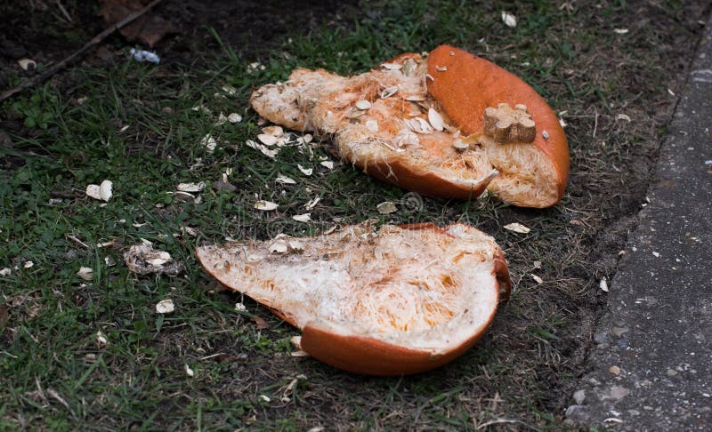 Jack-o -lantern with Smashed Pumpkin. Stock Photo - Image of carved ...
