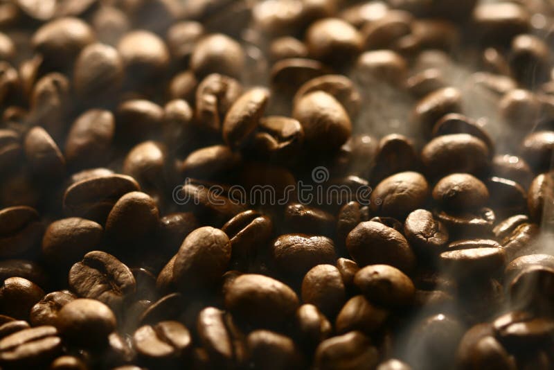 Smell of coffee beans stock photo. Image of black, heat - 3545420