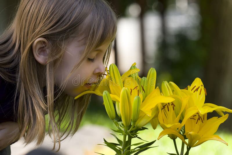 Smell Flowers stock image. Image of preschooler, meadow - 2755037
