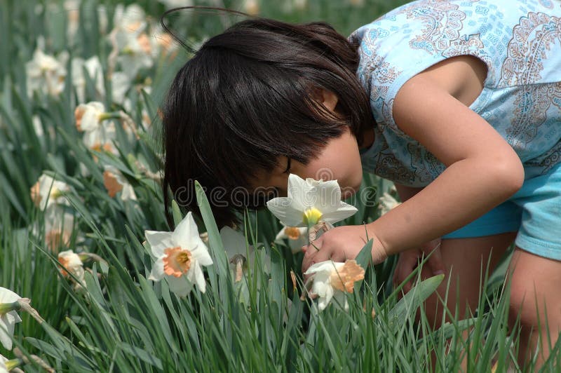 Smell the Flowers stock photo. Image of sunny, park, prettiness - 904154