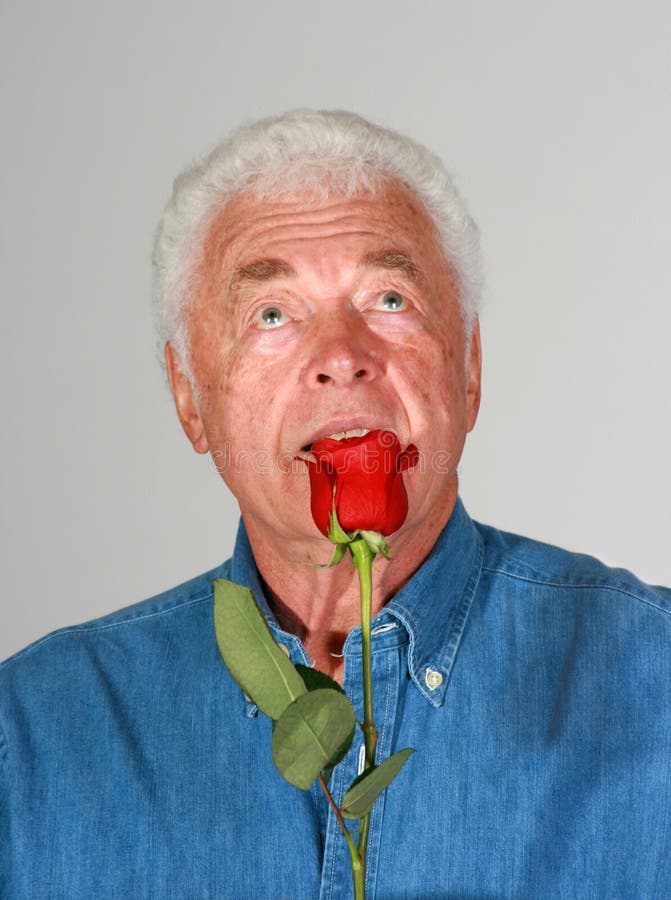 Smell of the rose stock image. Image of boomer, rose, good - 3866791