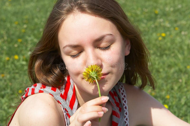 Smell of summer stock photo. Image of field, garden, beautiful - 2500510