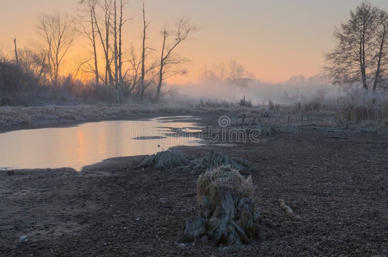 Smell at sunrise stock image. Image of landscape, nature - 170379773