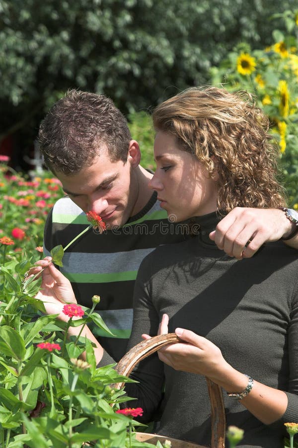 Smelling the flower stock photo. Image of gardening, flowergarden - 1159406