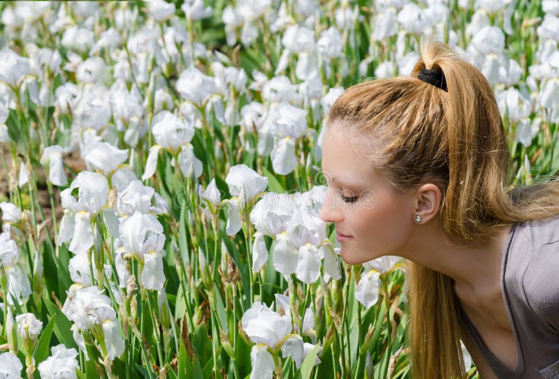Smelling Flowers stock image. Image of field, closed - 24712633