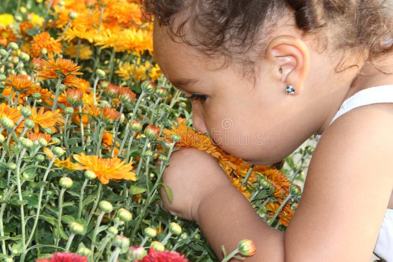 Smelling flowers stock image. Image of family, milestone - 3969385