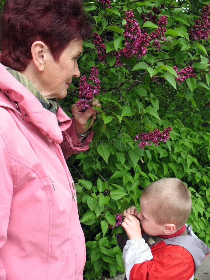 Smelling flowers stock image. Image of smelling, flower - 5290915