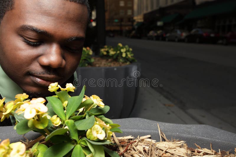 Smelling the flowers stock photo. Image of smell, businessman - 8117878