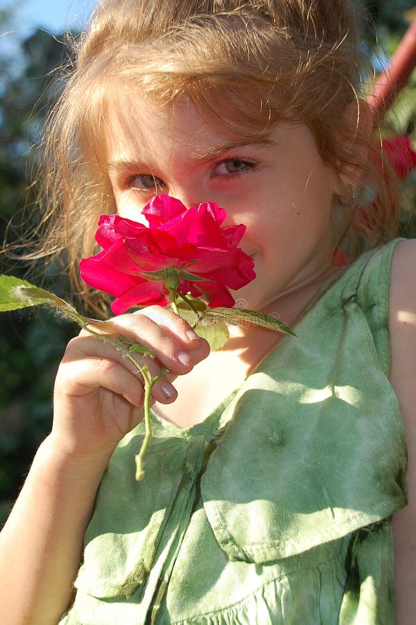 Smelling a rose stock photo. Image of garden, rose, outdoors - 5981904