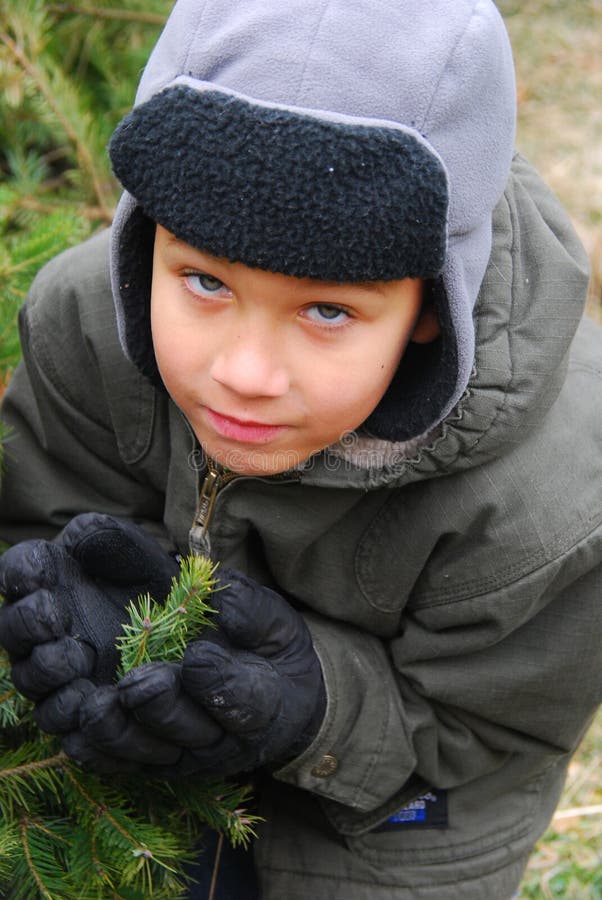 Smelling the tree stock photo. Image of smell, education - 7354688