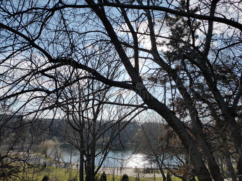 It smells like spring stock image. Image of smells, sunshine - 212613441