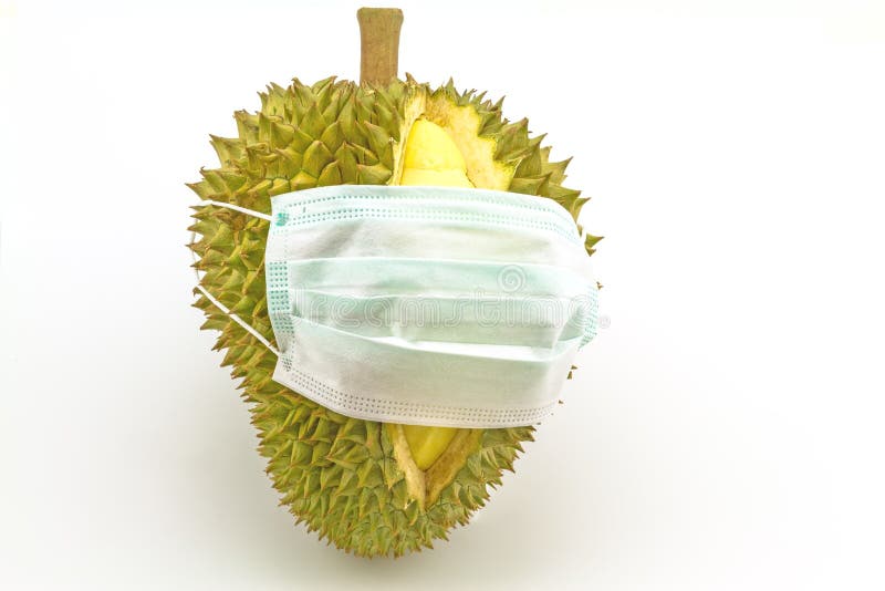 Smelly durian wear mask stock image. Image of peeled - 54427125