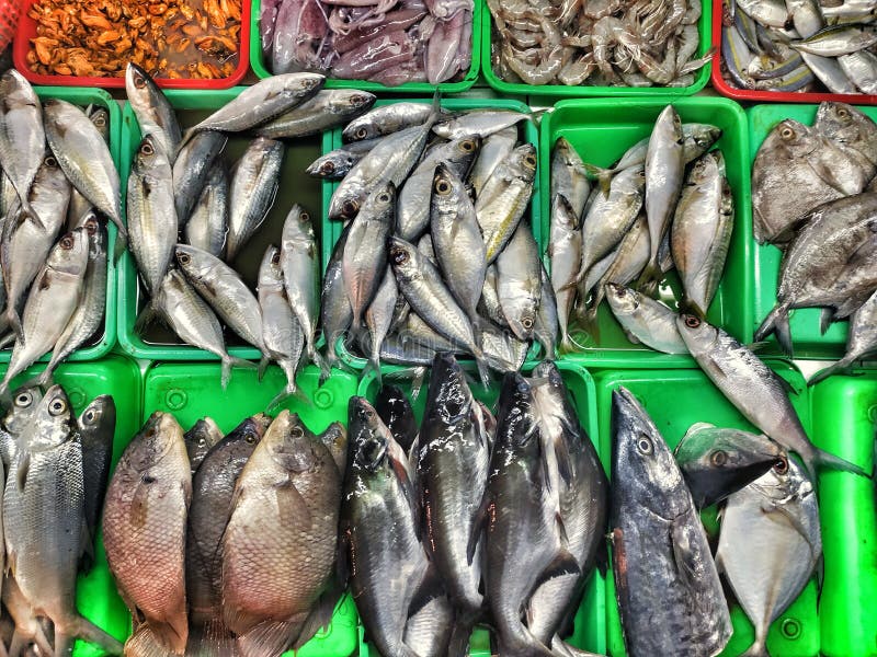 Smelly Fishy Fish on the Market Stock Photo - Image of smelly, fishy ...