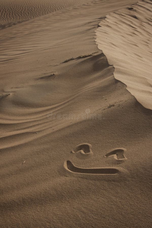 Smile in the desert stock photo. Image of nature, symbols - 101776240