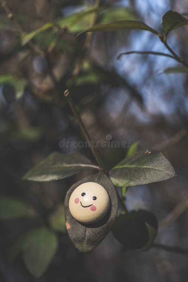 Smile Icon Miniature Tree Stock Photos - Free & Royalty-Free Stock ...