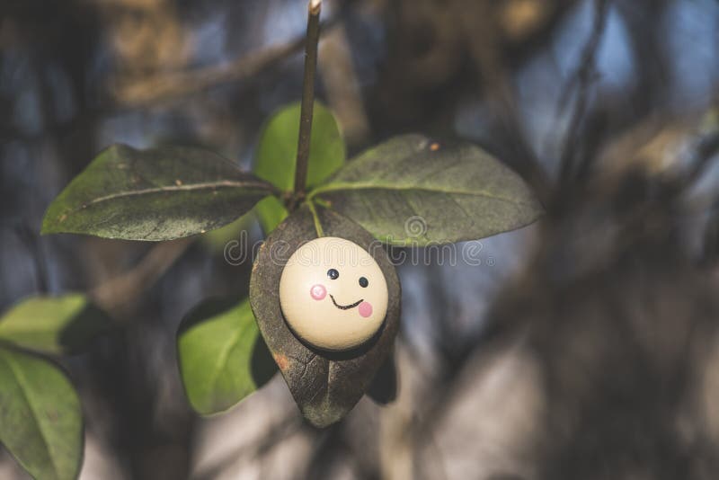 Smile Icon Miniature on Tree Stock Photo - Image of green, symbol: 66617498