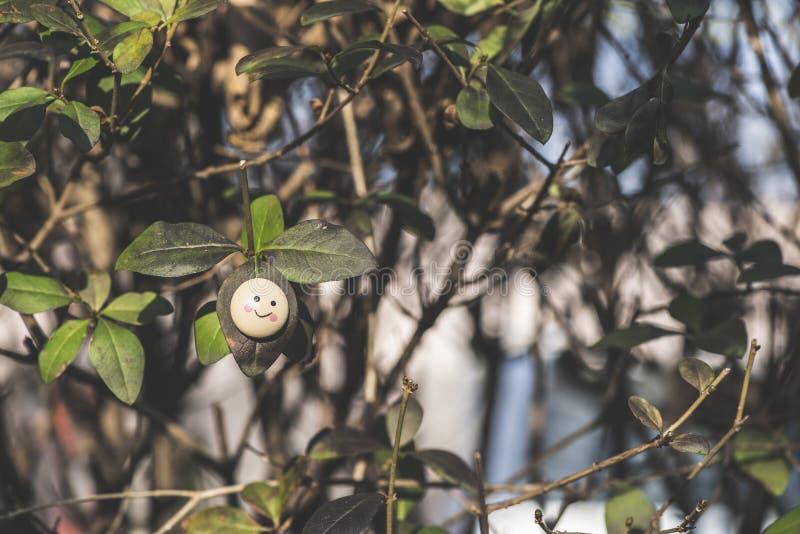 Smile Icon Miniature on Tree Stock Photo - Image of happiness, paint ...