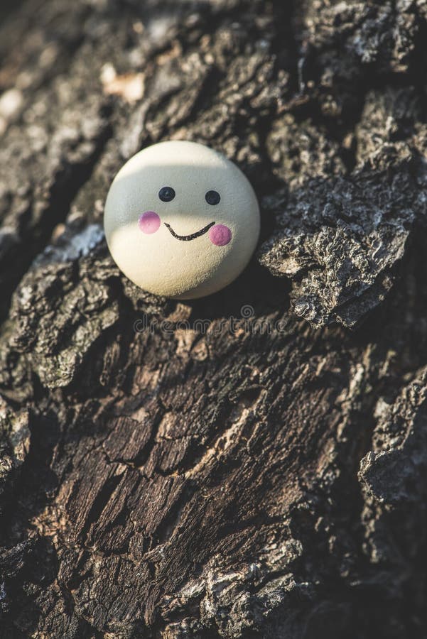 Smile Icon Miniature on Tree Stock Photo - Image of texture, trunk ...