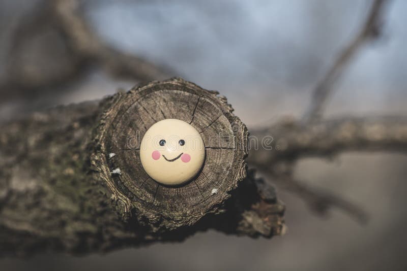 Smile Icon Miniature on Tree Stock Image - Image of sign, trunk: 66617573