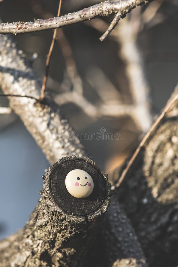 Smile Icon Miniature on Tree Stock Image - Image of happy, design: 66617635