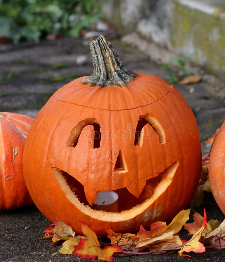 Smile stock image. Image of gourd, autumn, plastic, vegetable - 295683725