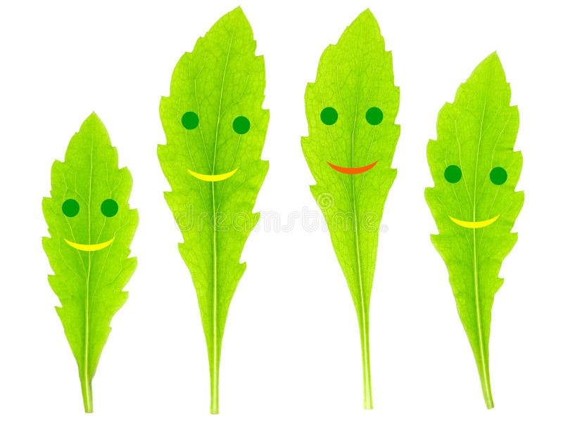 Smile leaf stock photo. Image of early, design, decoration - 15533492