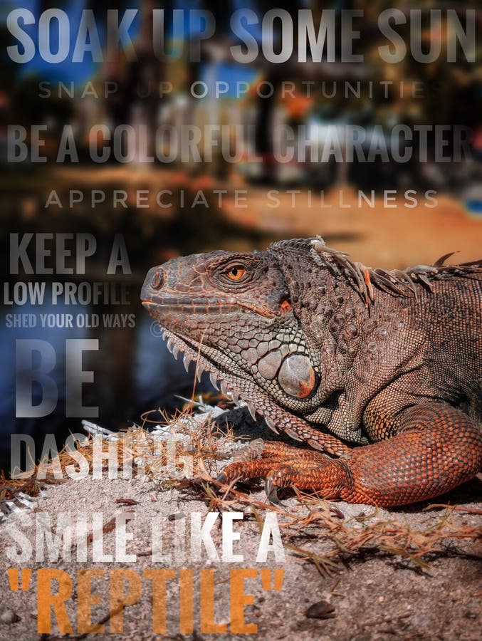 When I Smile Like Mona Lisa Stock Photo - Image of girl, blue: 321420326