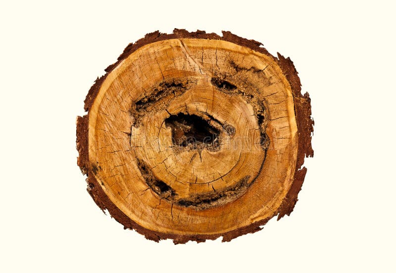 Smile-shaped log of wood. stock photo. Image of mouth - 20492318