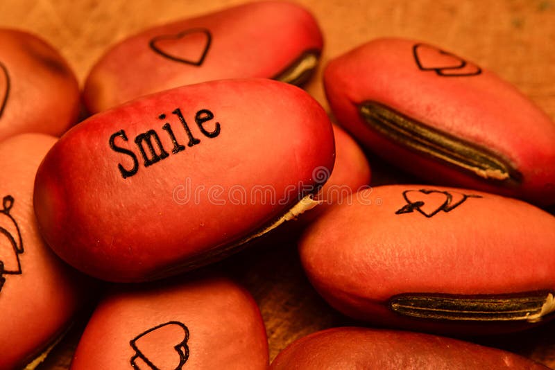 Smile seed stock photo. Image of natural, live, stamped - 46742190
