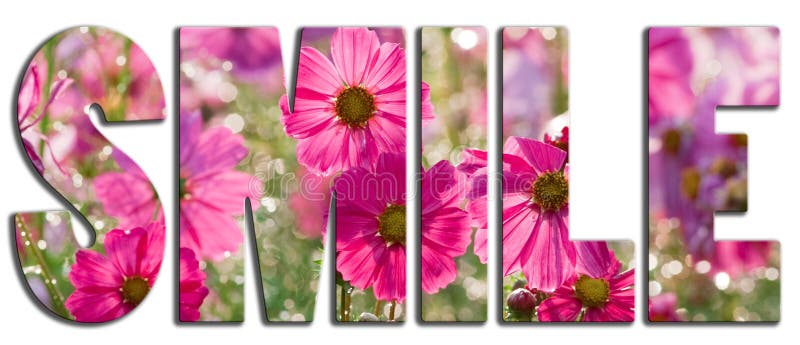 Smile Text Filled Pink Flowers Stock Photos - Free & Royalty-Free Stock ...