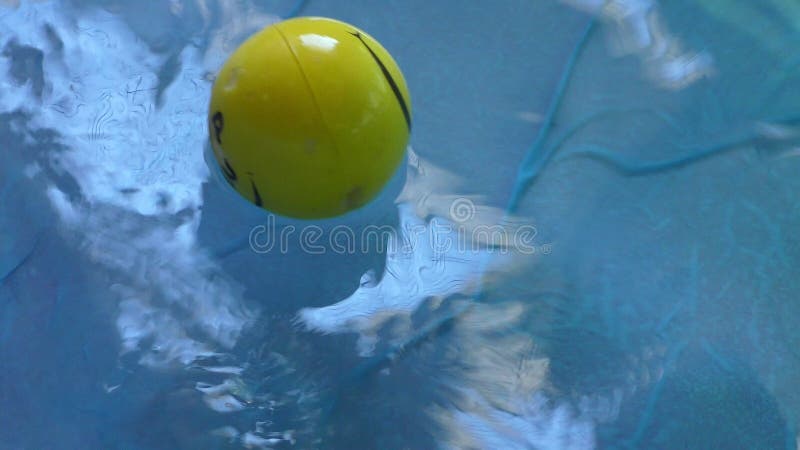 Smiley Ball stock photo. Image of happy, studio, white - 10555650