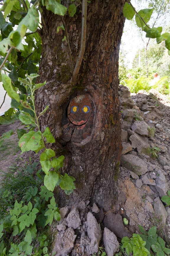 The Smiley Face on a Big Tree Stock Photo - Image of fantasy, wood ...