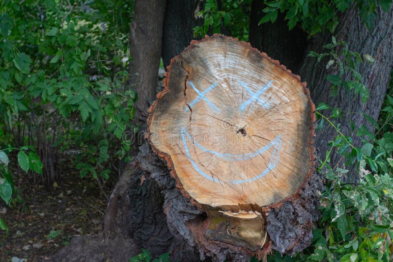 A Smiley Face is Drawn on a Section of a Tree Branch Stock Image ...
