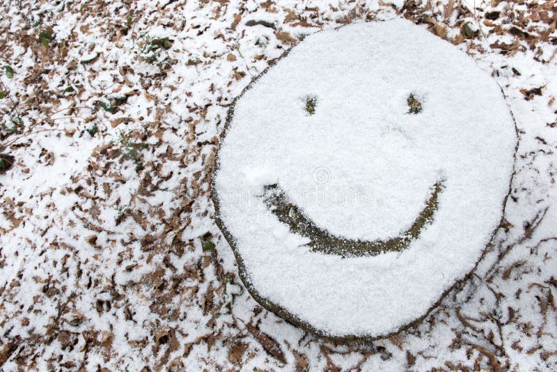 Snow Covered Tree Stump with Smiley Face Emoji Stock Photo - Image of ...
