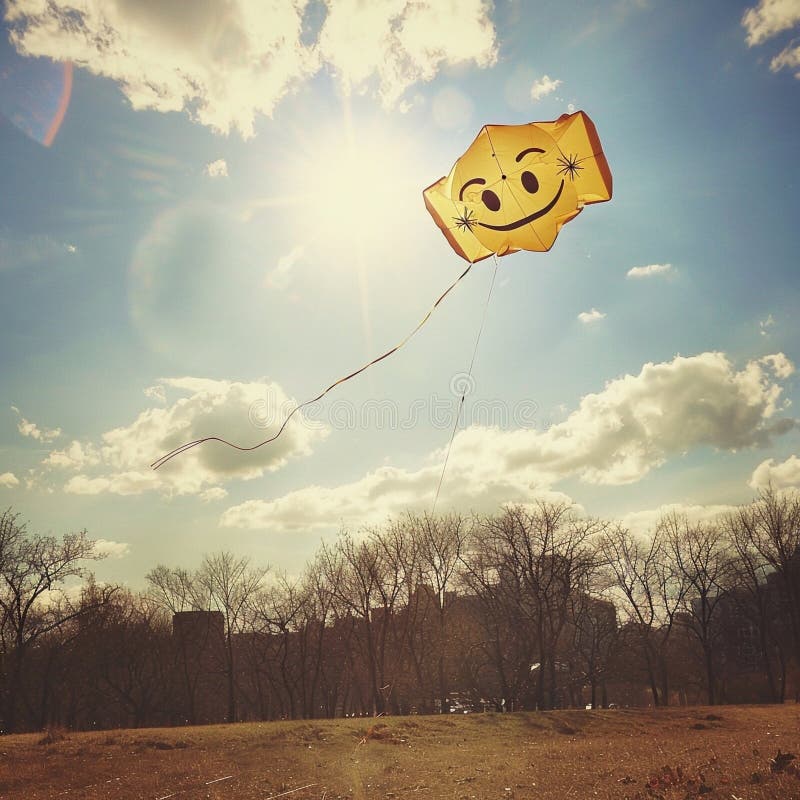 Smiley Face Flying a Kite in a Park on a Windy Day Stock Illustration ...