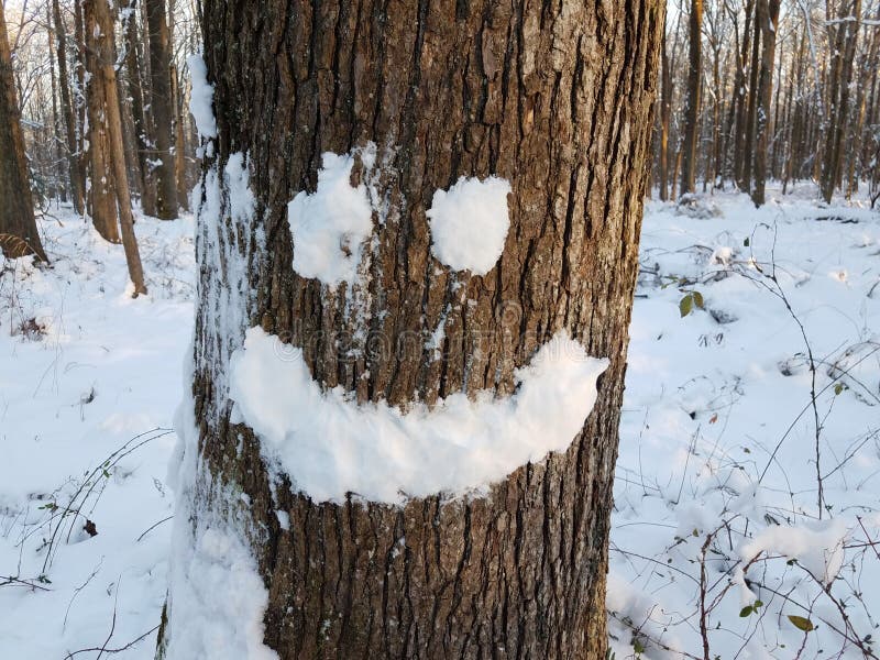 Smiley Face in Snow on Tree in the Forest with Trees in the Winter ...