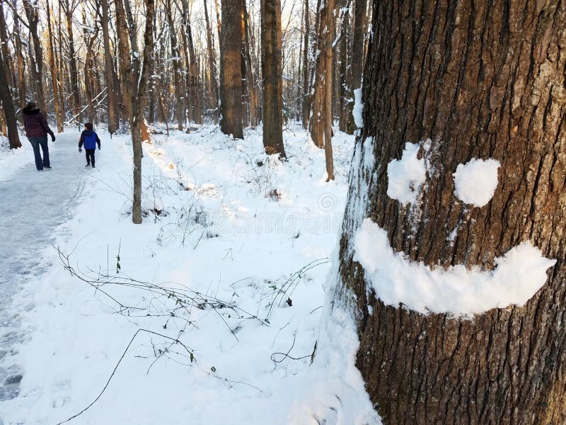 Smiley Face in Snow on Tree in the Forest with Trees in the Winter ...